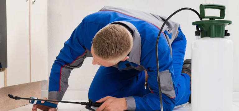Residential Pest Control Surrey, Residential Pest Control Vancouver